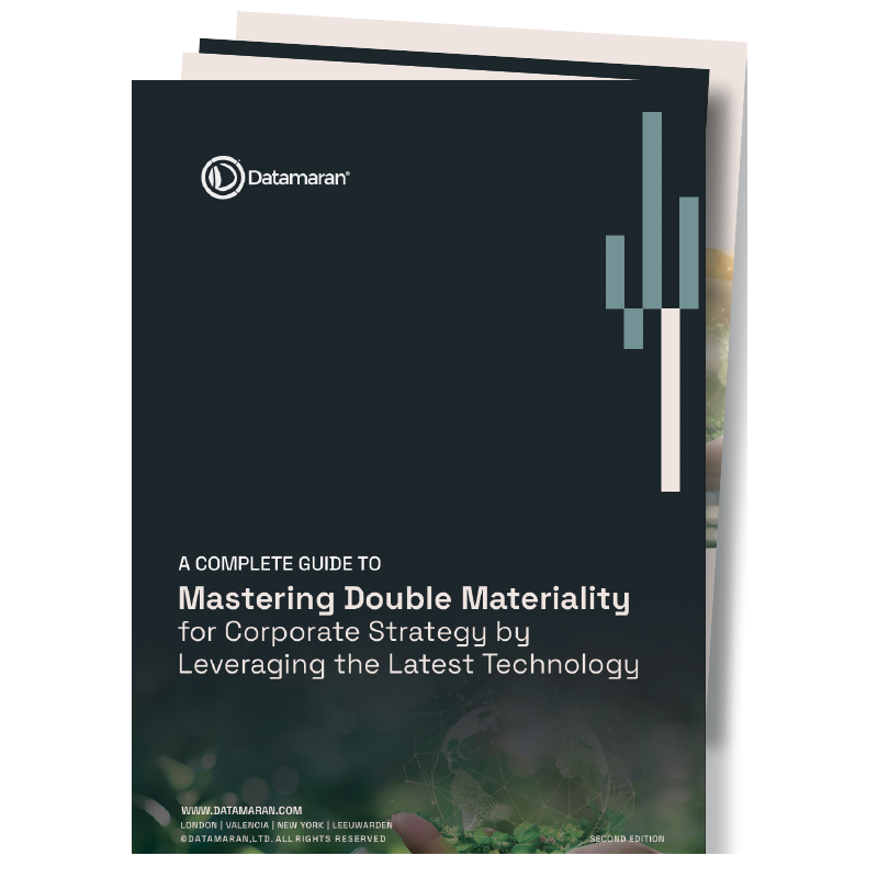 Double Materiality eBook