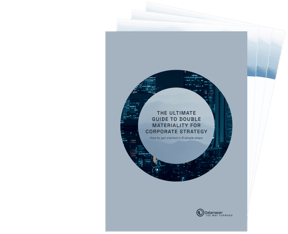 Double Materiality eBook