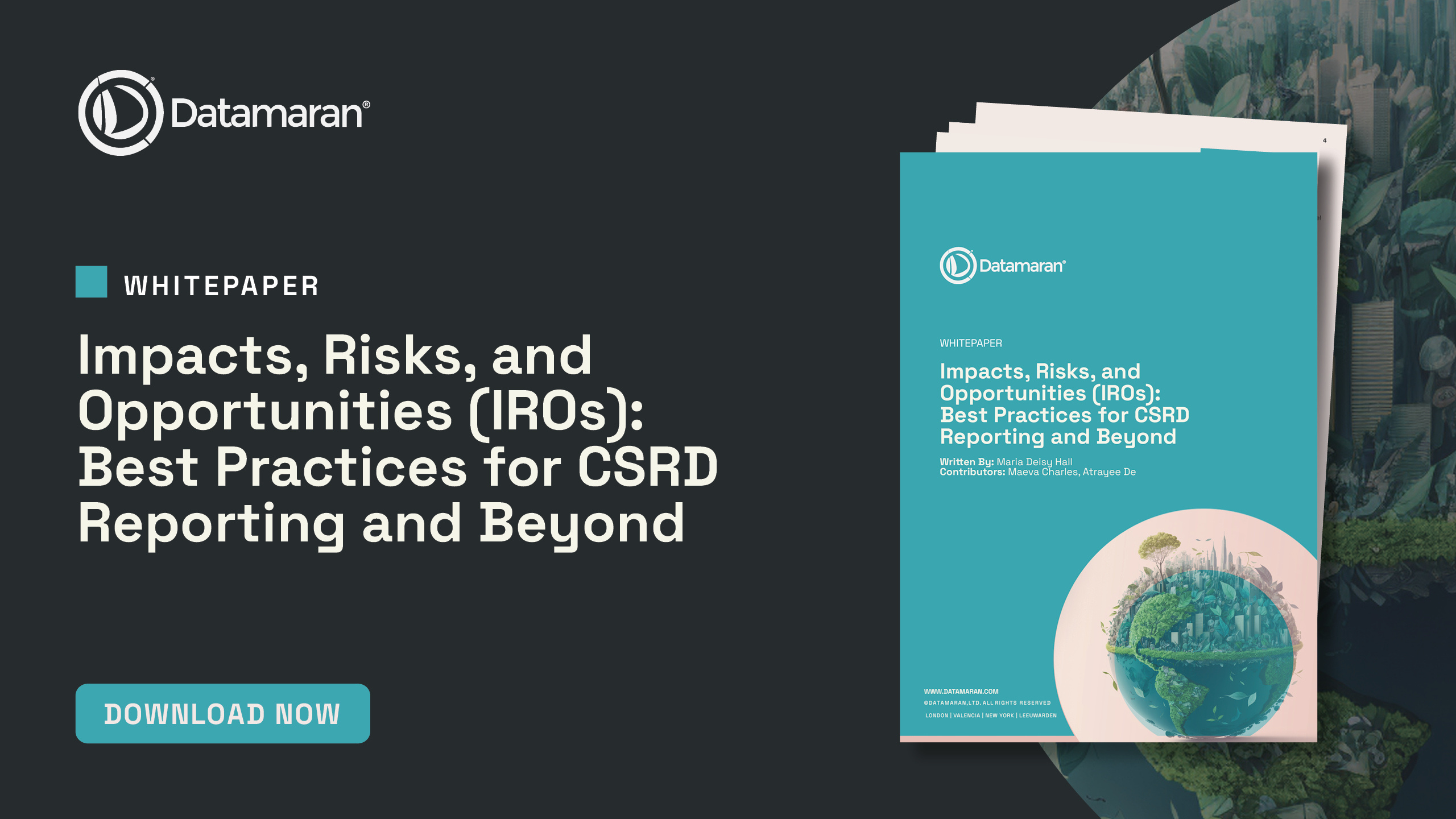White Paper: Impacts, Risks, and Opportunities (IROs): Best Practices ...
